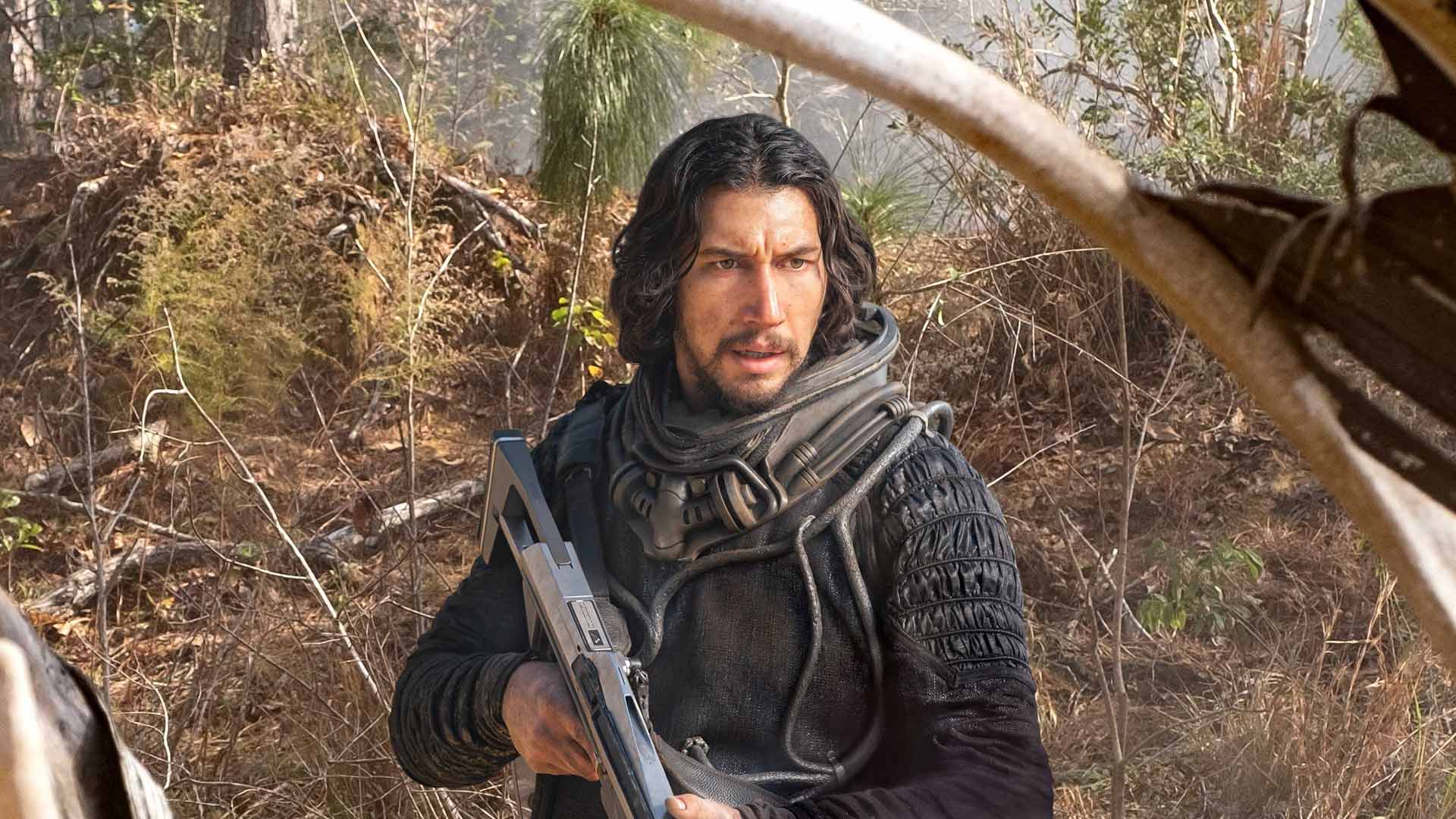 Die besten Filme von Bill Murray: seine größten Kino-Highlights