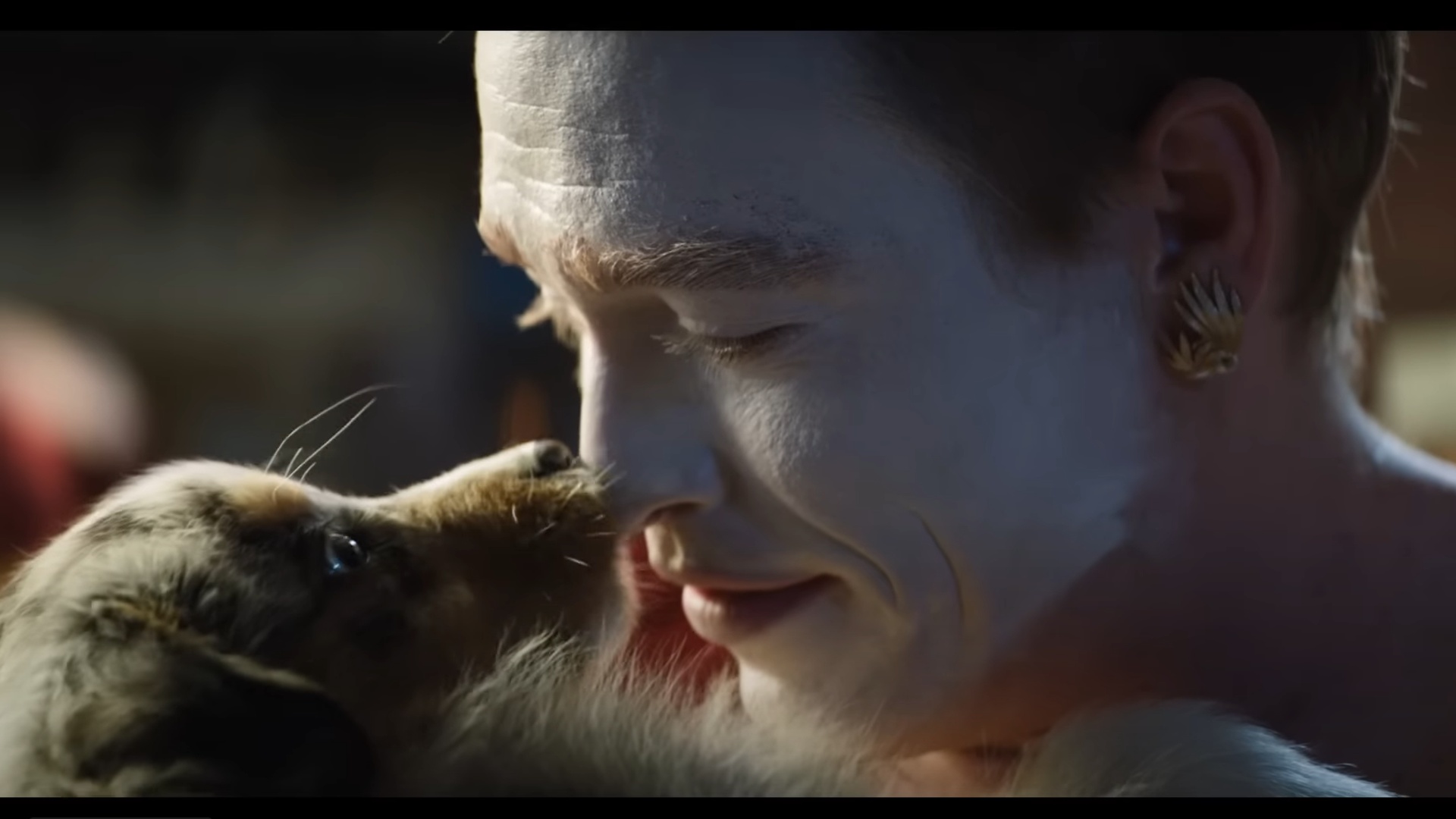 DogMan streamen: Wann kommt der Luc-Besson-Thriller ins Heimkino?