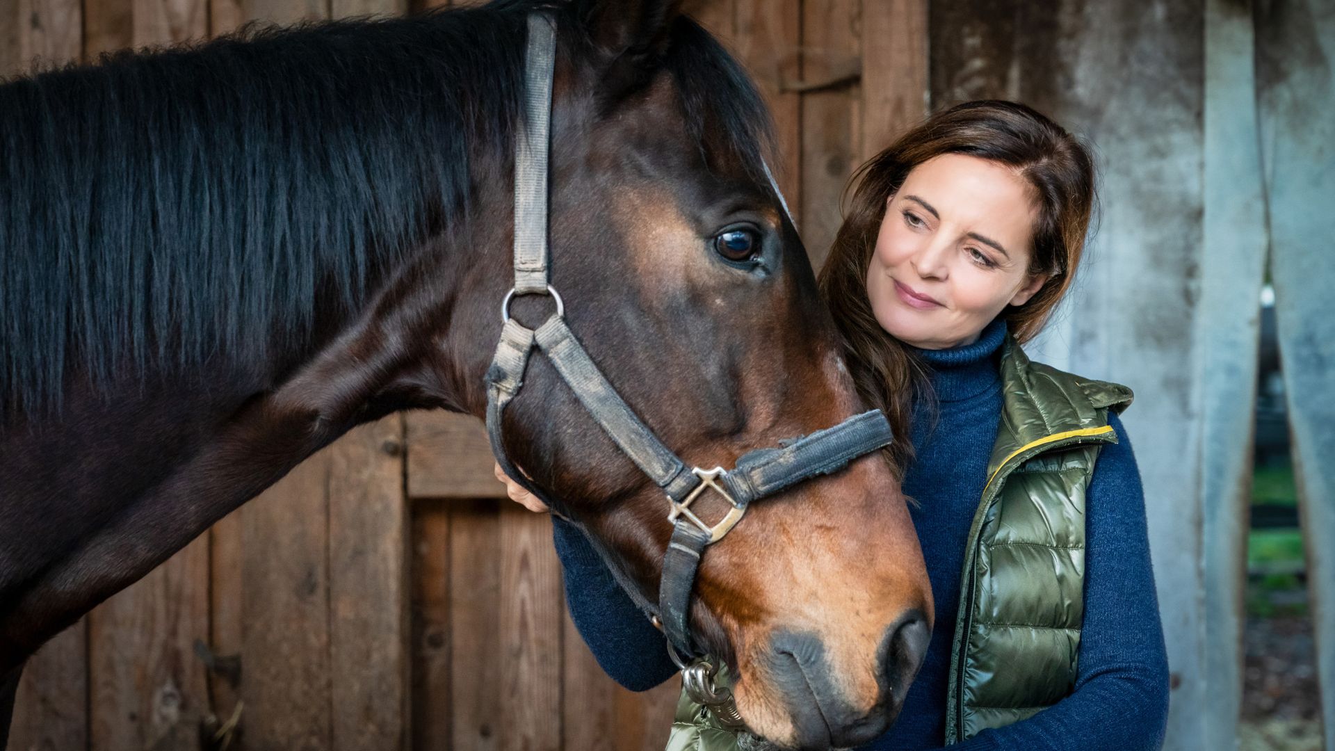 Tierärztin Dr. Mertens Staffel 9: Alle Infos