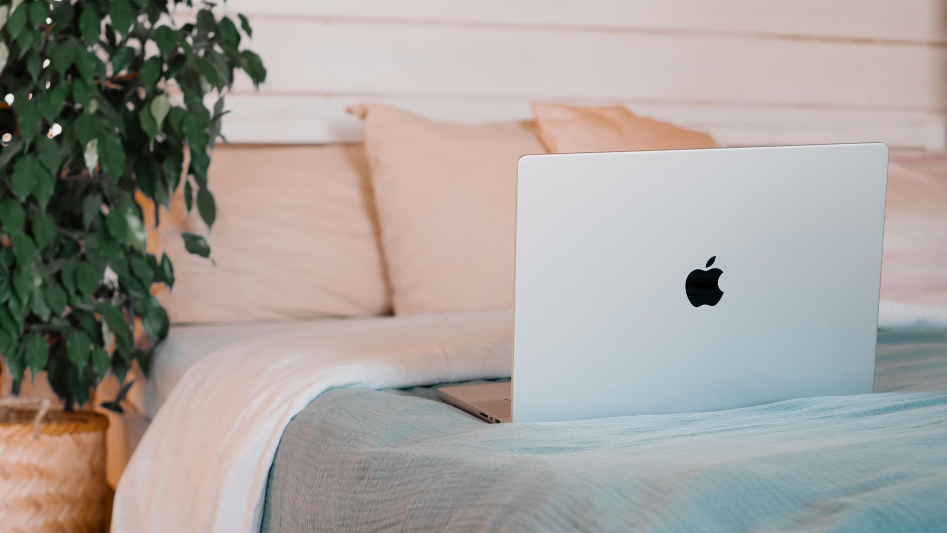 Foldable MacBook: Alle Infos zum faltbaren MacBook