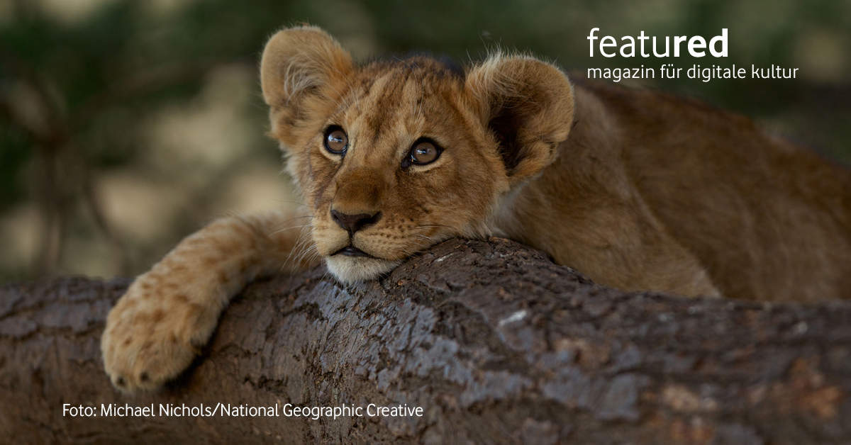 National Geographic-Dokus auf GigaTV kostenlos streamen