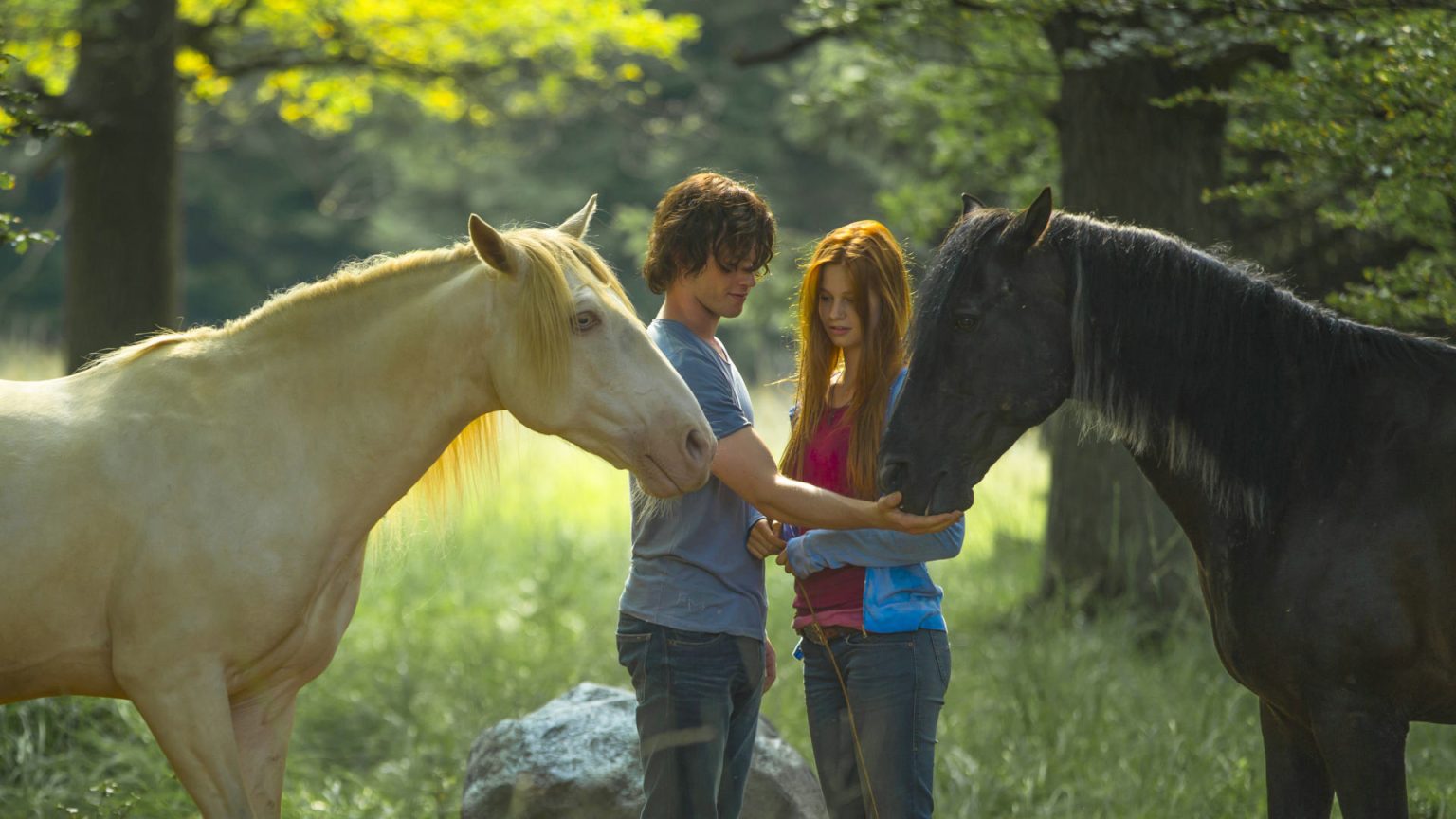 Alle Ostwind-Filme in der richtigen Reihenfolge