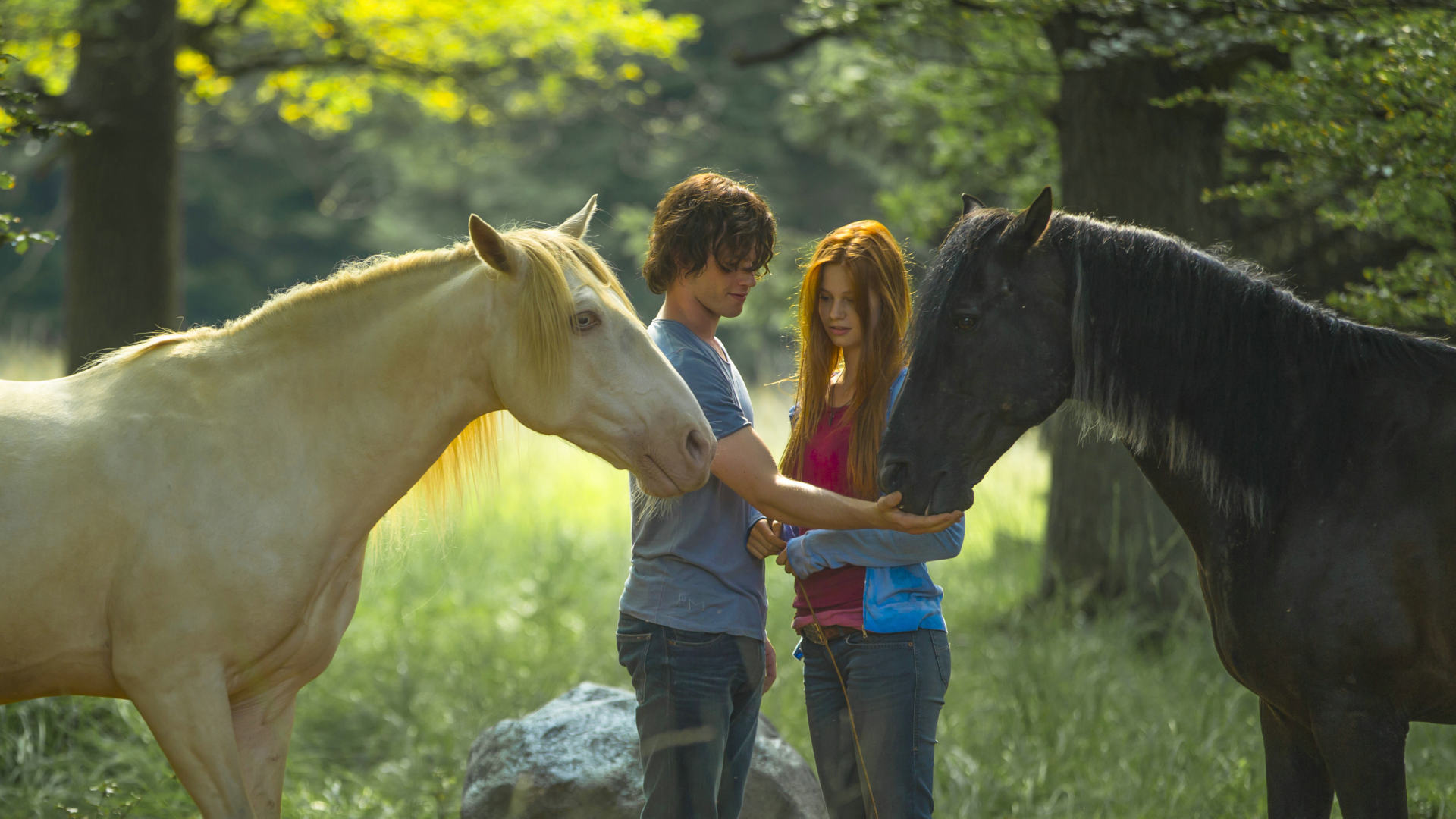 Alle Ostwind-Filme in der richtigen Reihenfolge