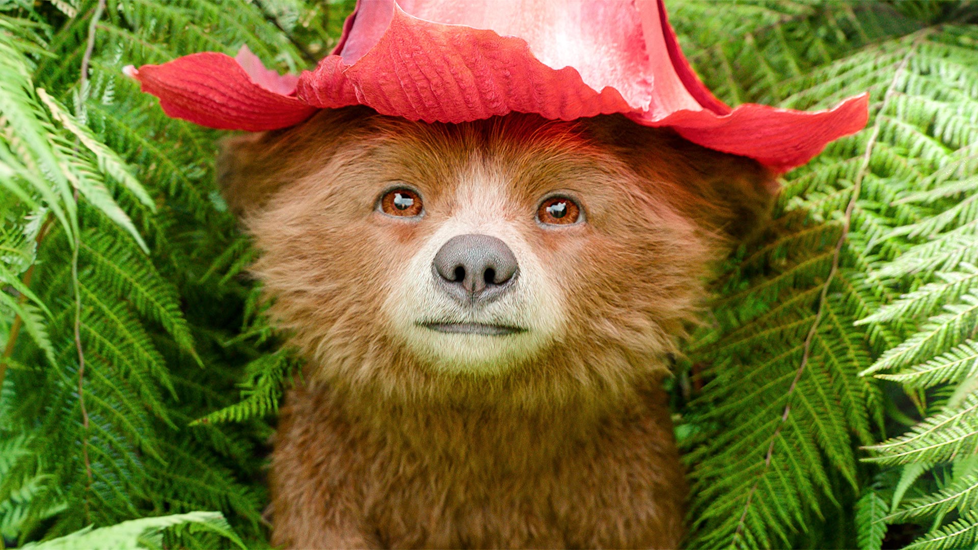 Sherlock Holmes: Die richtige Reihenfolge der Bücher