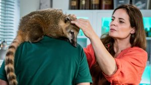 Tierärztin Dr. Mertens: Staffel 10 – Start, Besetzung & Co.