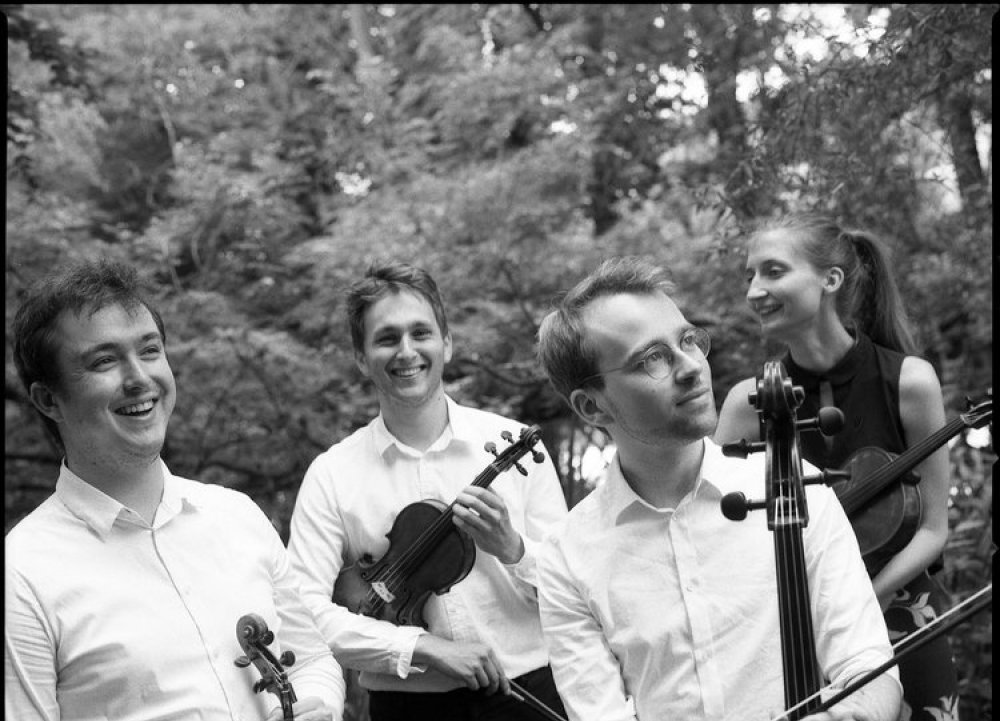 Programma | cc Het Bolwerk