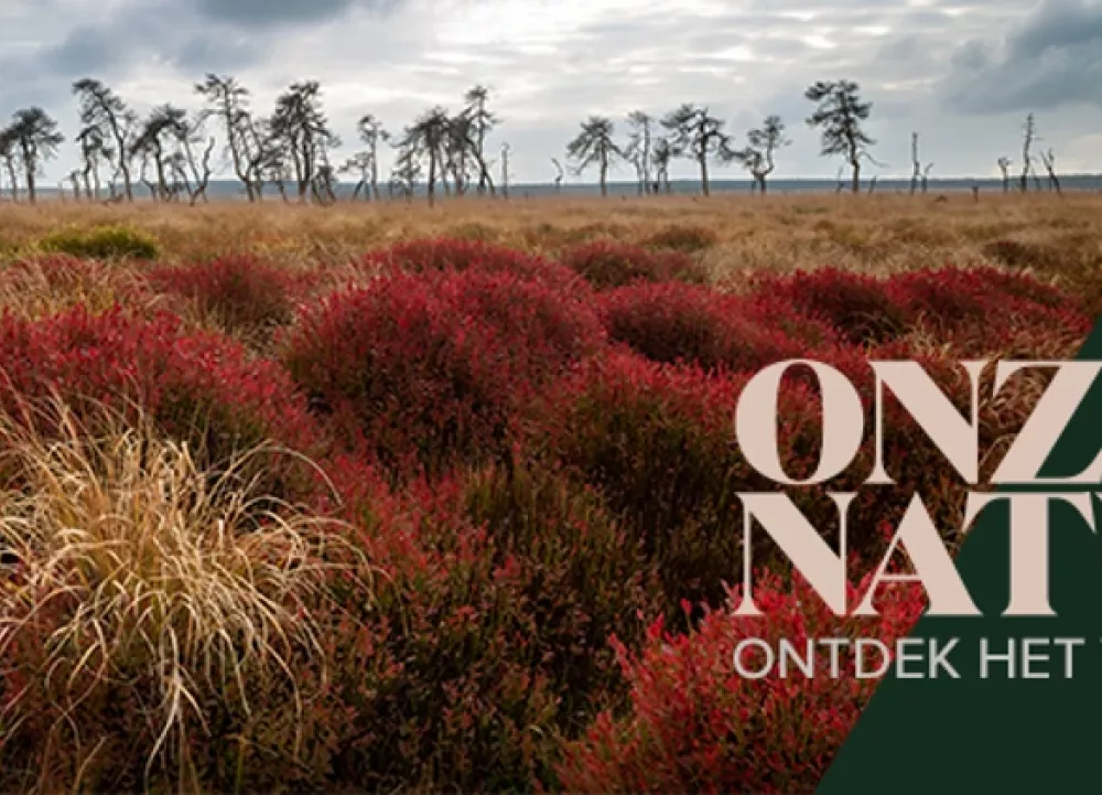 Onze Natuur, De Film - regie: Pim Niesten, Dick Harrewijn, Maria Lise ...