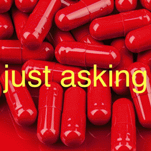 just asking - Peter Seynaeve & Oscar Van Rompay & NTGent ...