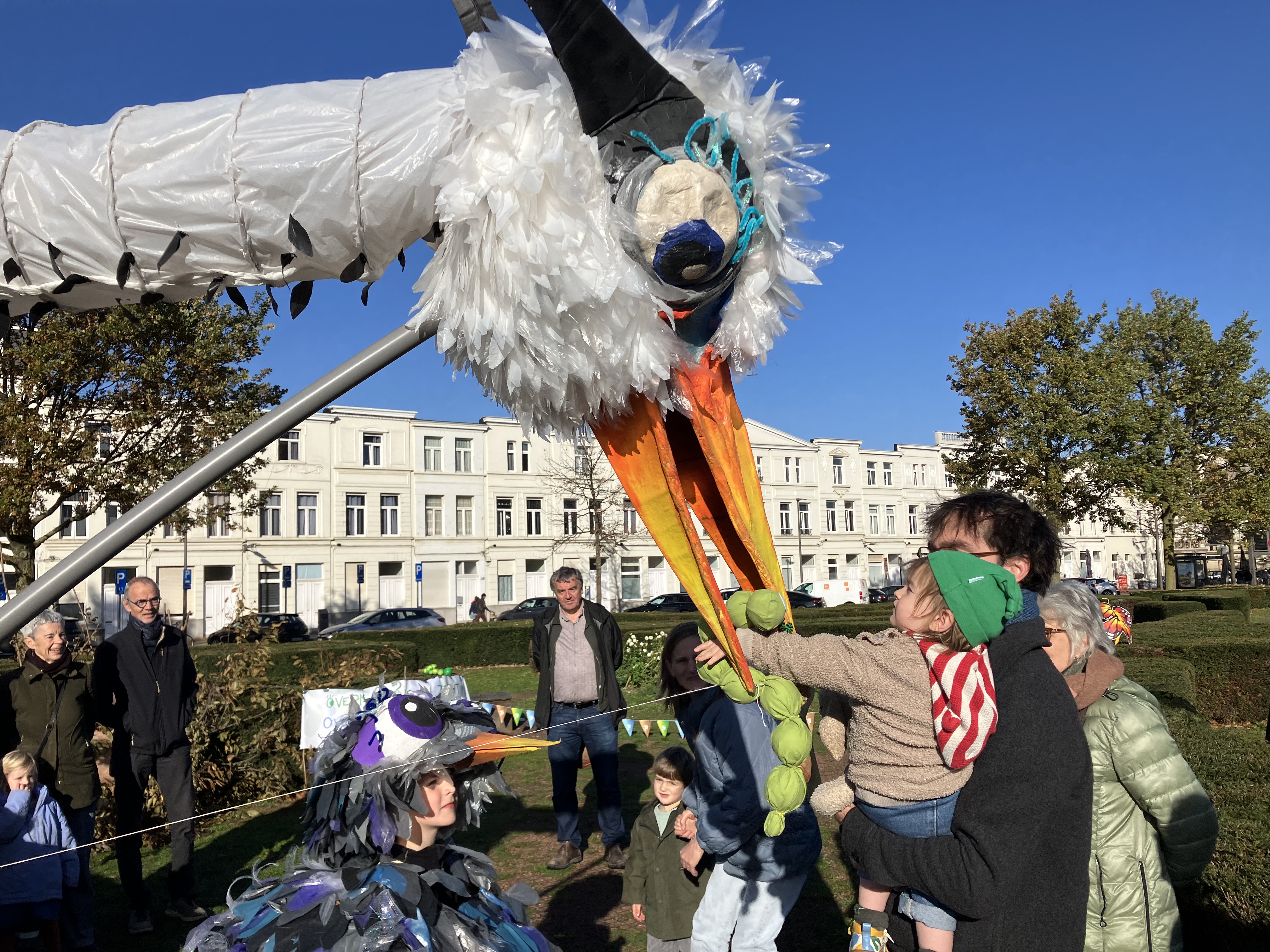 Ringland-reiger Ringa verwelkomt voorlopig slechts één kuiken | Ringland