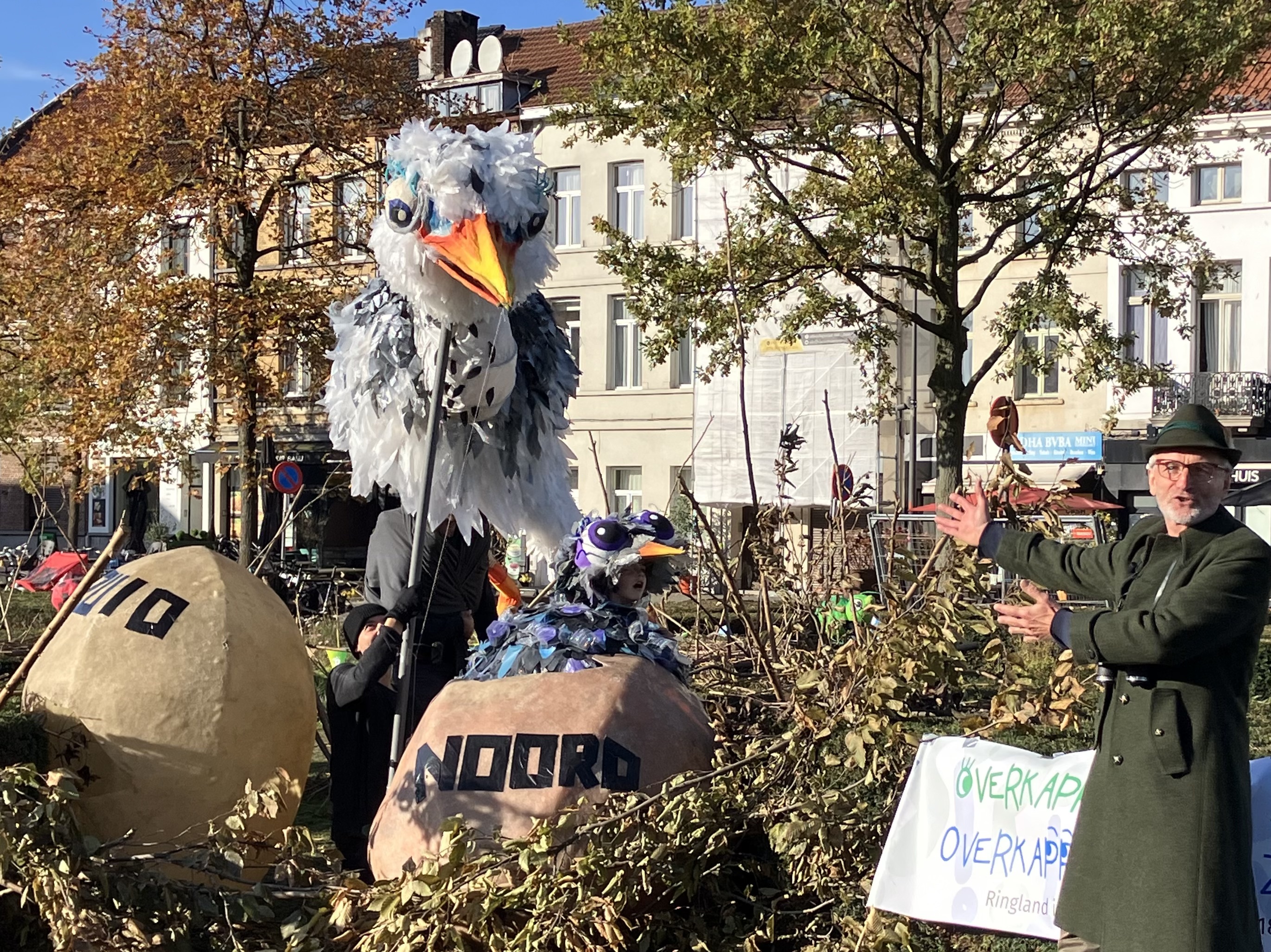 Ringland-reiger Ringa verwelkomt voorlopig slechts één kuiken | Ringland