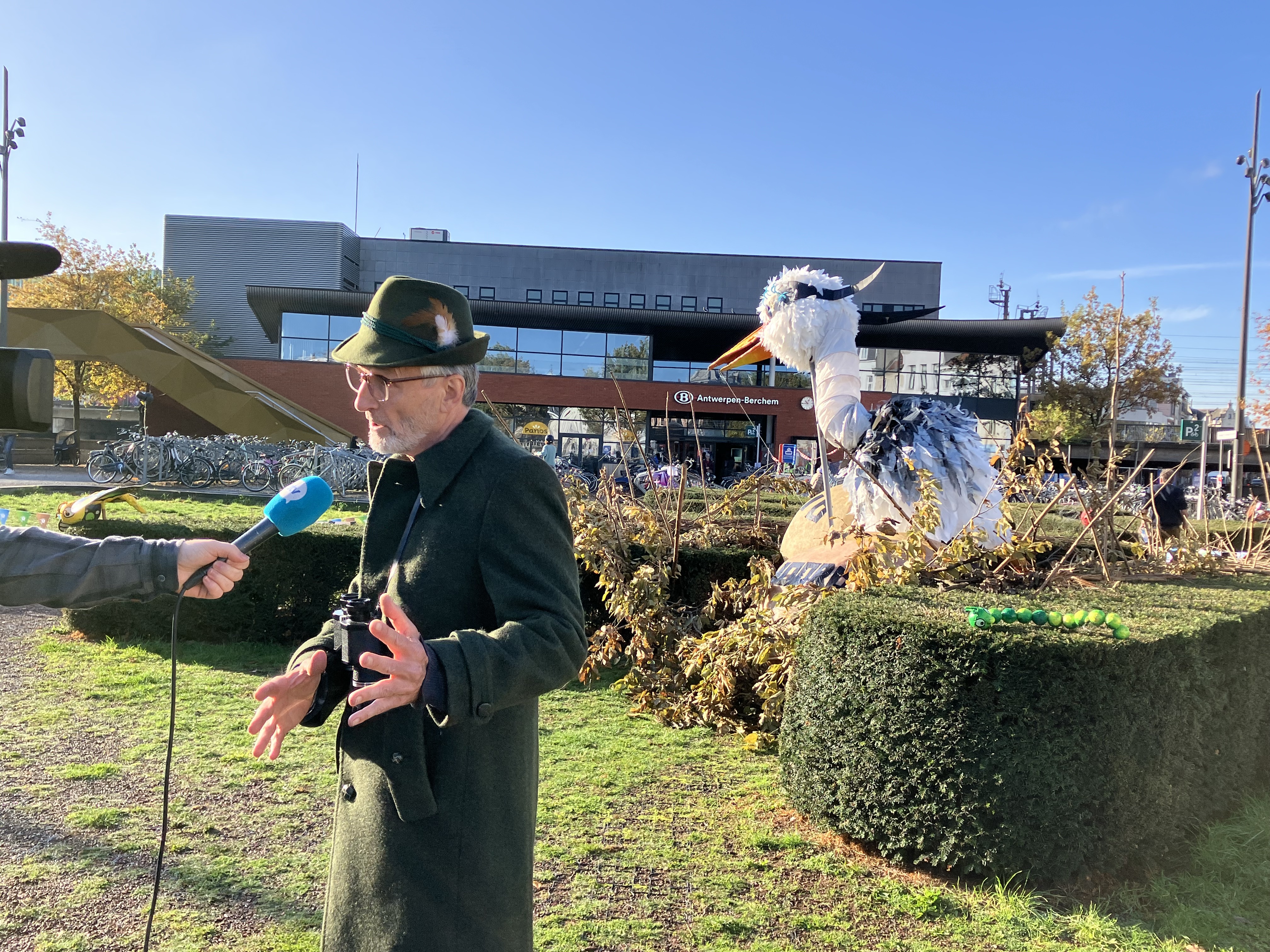 Ringland-reiger Ringa verwelkomt voorlopig slechts één kuiken | Ringland
